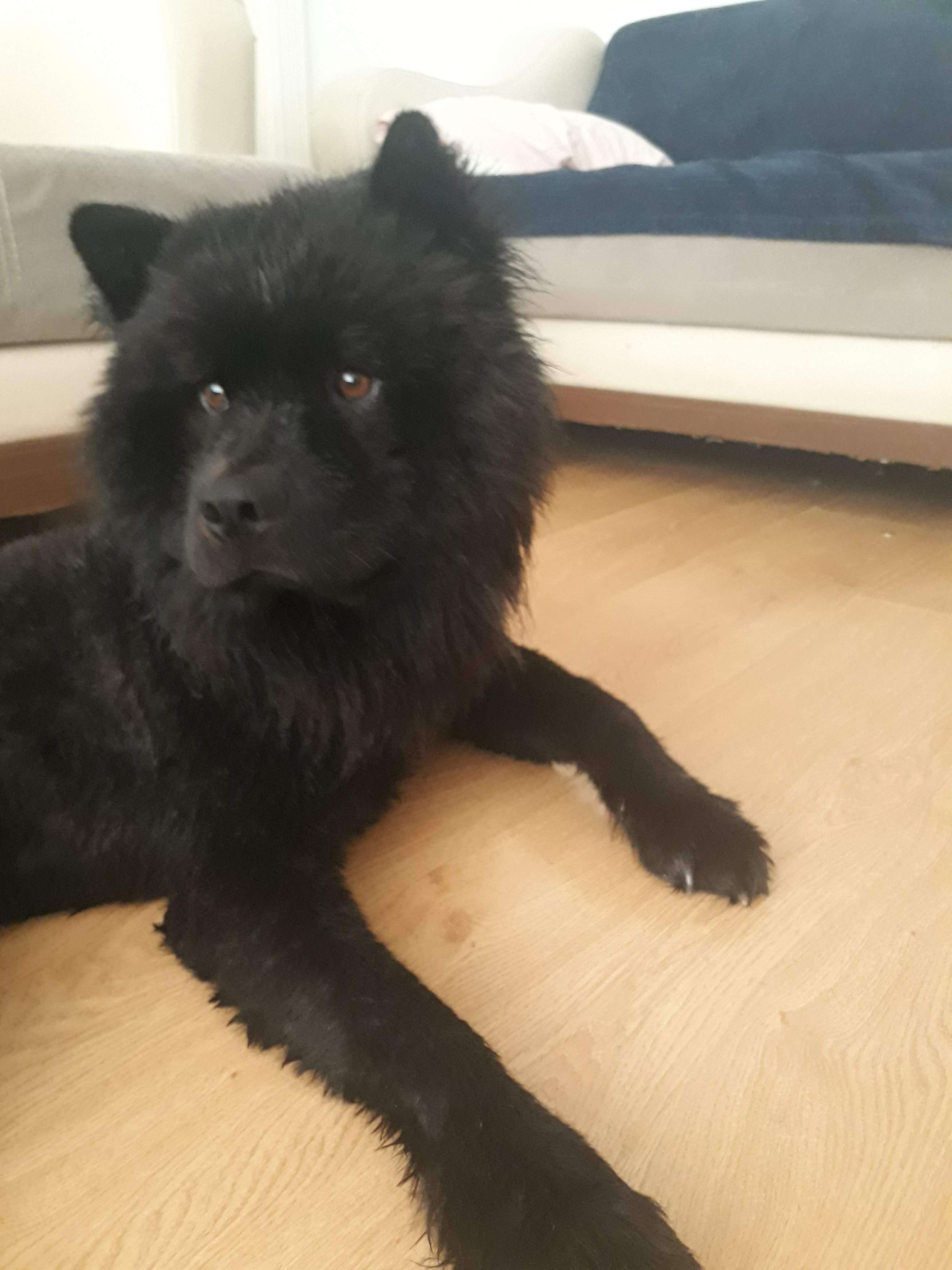 Oğlumuz kayıp - 13101 - Gören Duyan